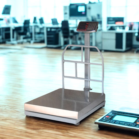 500 kg Weight Scale Price In Bangladesh - NSCBD & CO.LTD